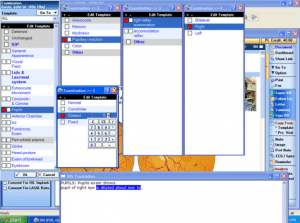 Developing Ophthalmology EHR Software with Specialists